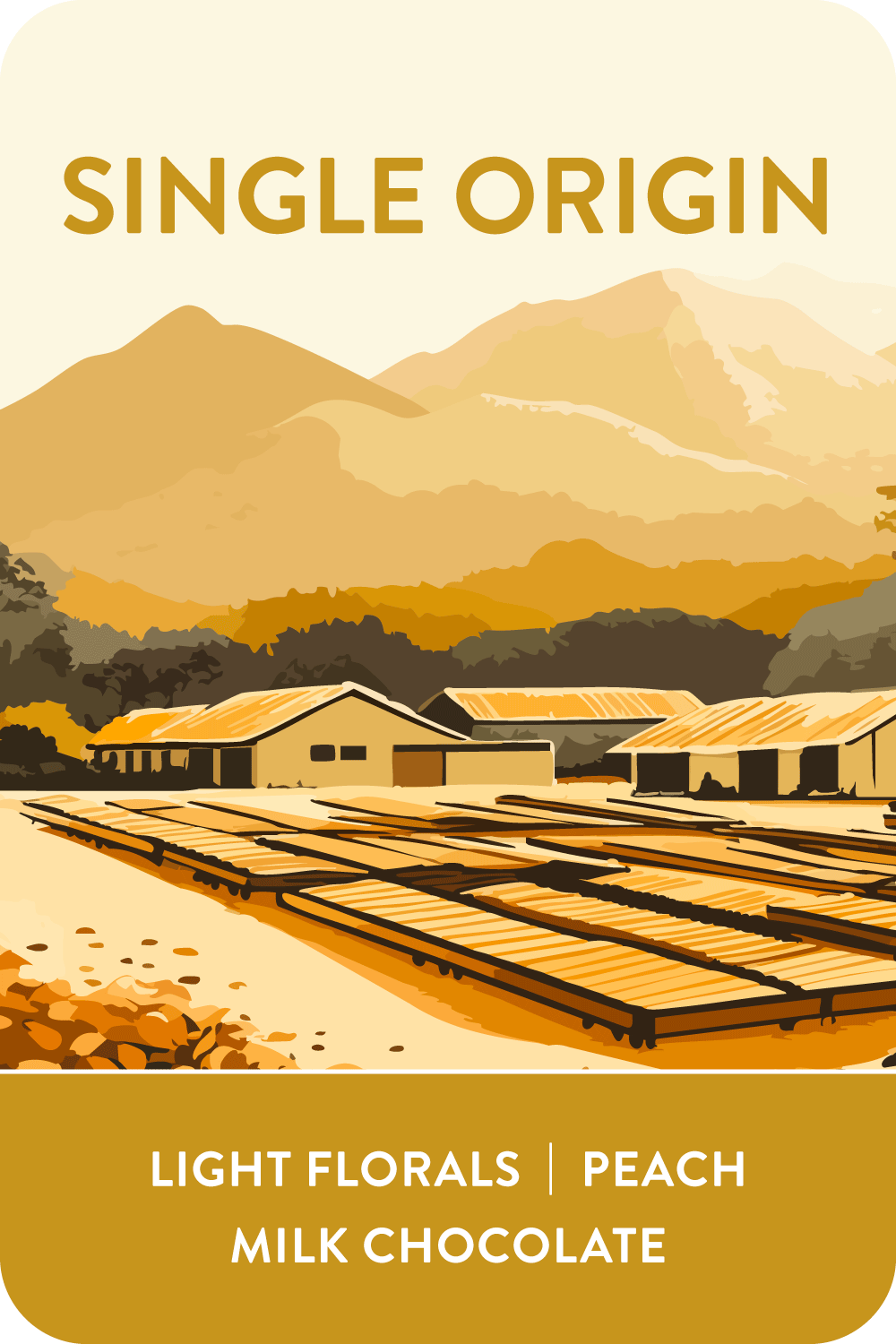Ethiopia | Beshasha | Voyager Coffee