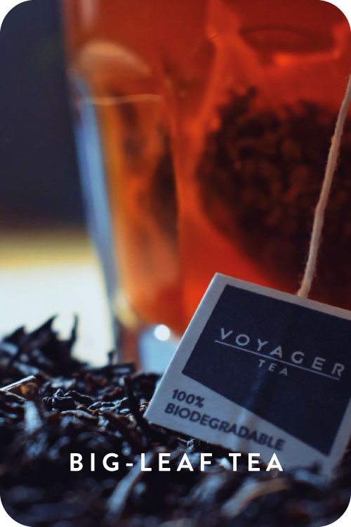 Voyager Tea Compostable Bags Decaf | Voyager Coffee