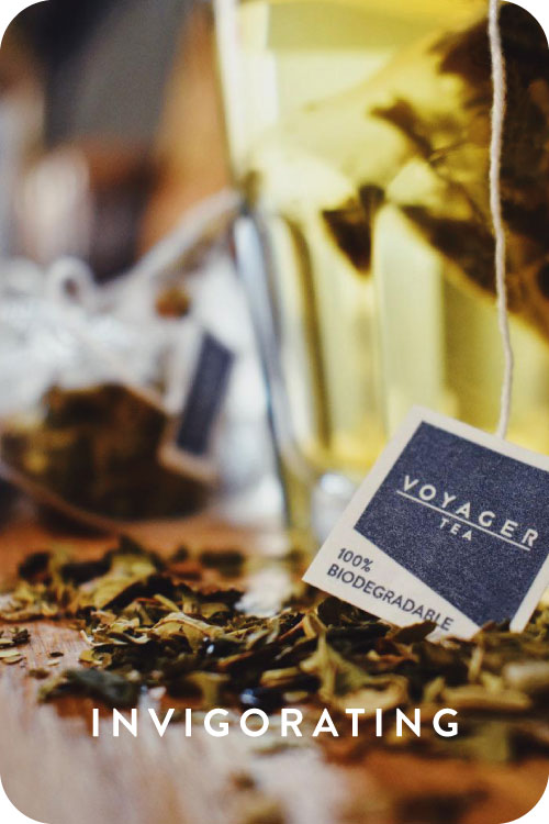 Voyager Tea Compostable Bags Revitalise | Voyager Coffee